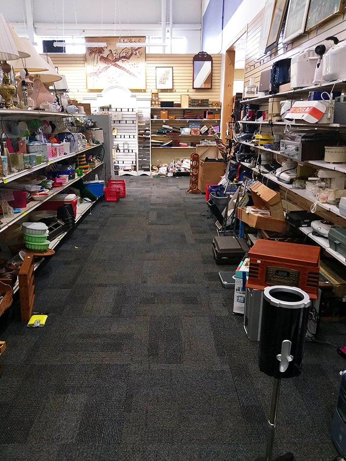 This aisle of household gadgets is where kitchen dreams and garage sale nightmares coexist in perfect harmony. One person's "finally" is another's "finally getting rid of it."