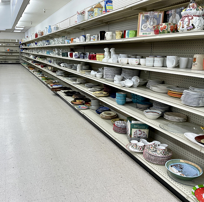 Dishes upon dishes &ndash; because somewhere in this magnificent array is the perfect replacement for the one your mother-in-law broke.