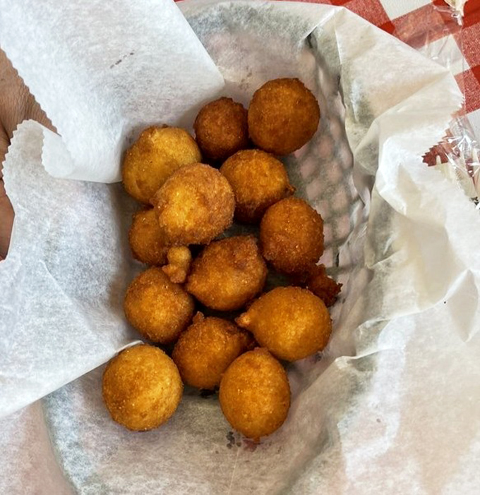 Hush puppies golden as sunrise, each one a perfect sphere of cornmeal joy waiting to be dunked in sauce or honey.