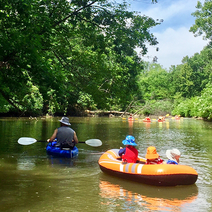The River Raisin offers nature's perfect air conditioning&mdash;a lazy paddle through green corridors where time slows to match the current's pace.