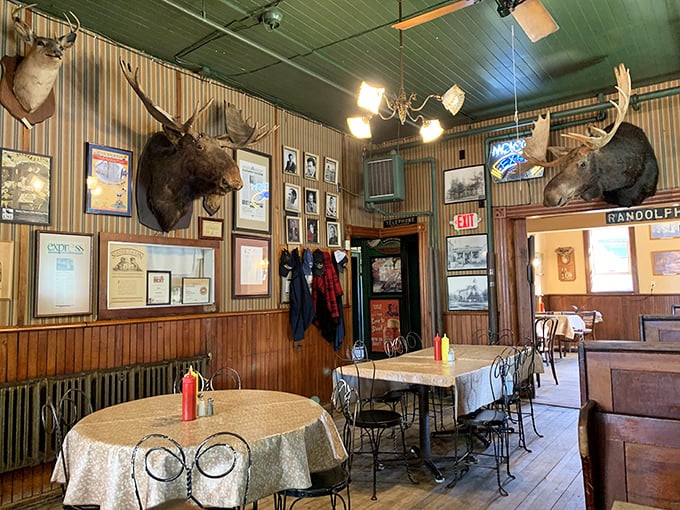 Where taxidermy meets dining room &ndash; Randolph the moose has witnessed more first dates, family celebrations, and "I shouldn't have that third beer" moments than any therapist in Michigan. 