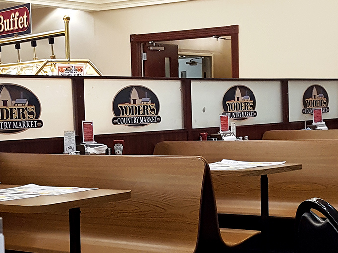 The dividers between dining sections aren't just practical &ndash; they create intimate dining spaces within the larger restaurant, a thoughtful touch.