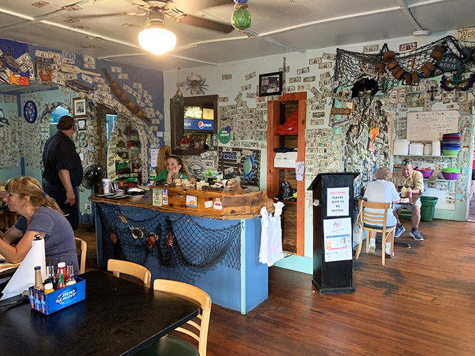 The counter where seafood dreams come true. Those fishing nets aren't just decoration&mdash;they're a promise of what's waiting on your plate.