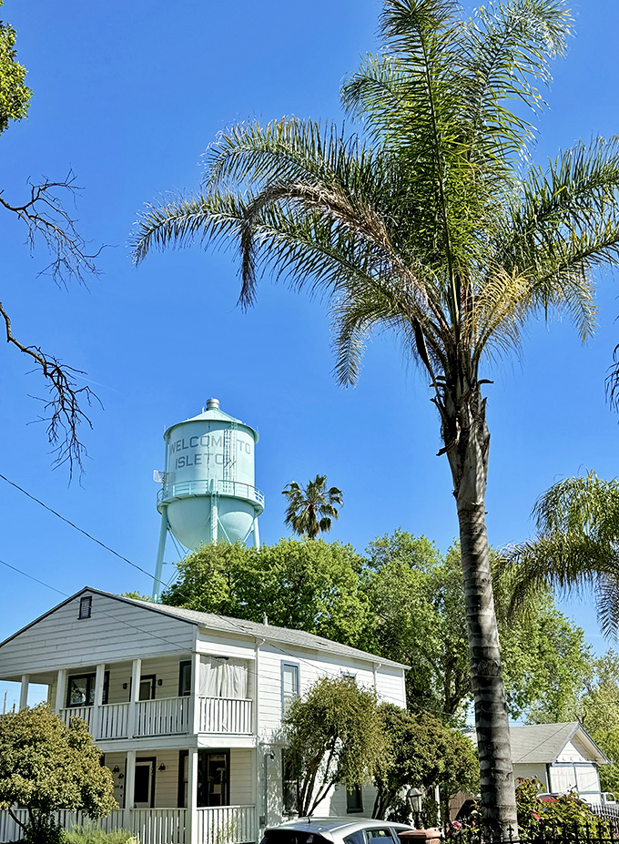 Isleton's iconic water tower rises above palm trees and historic homes, announcing to visitors they've arrived somewhere special in California's heartland.