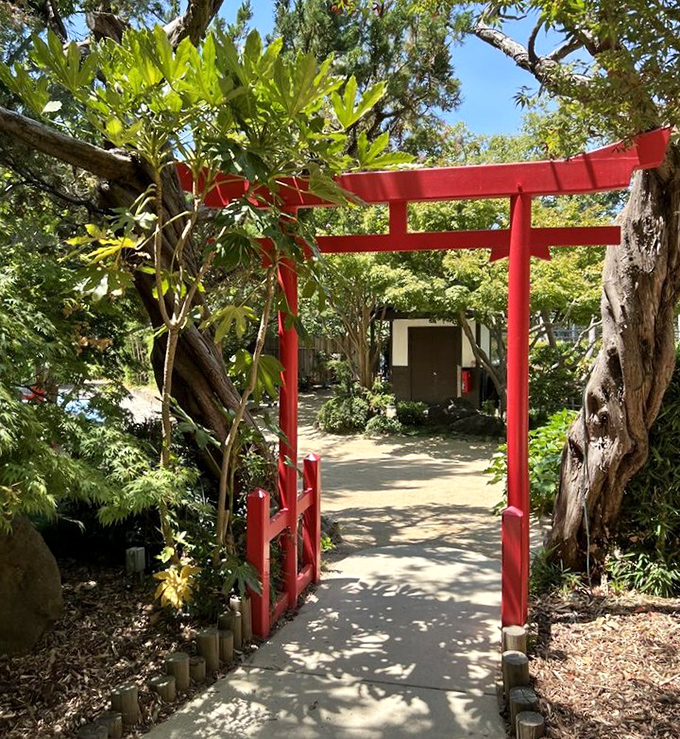 Step through this torii gate into a Japanese garden oasis. Proof that Fairytale Town celebrates stories from around the world.