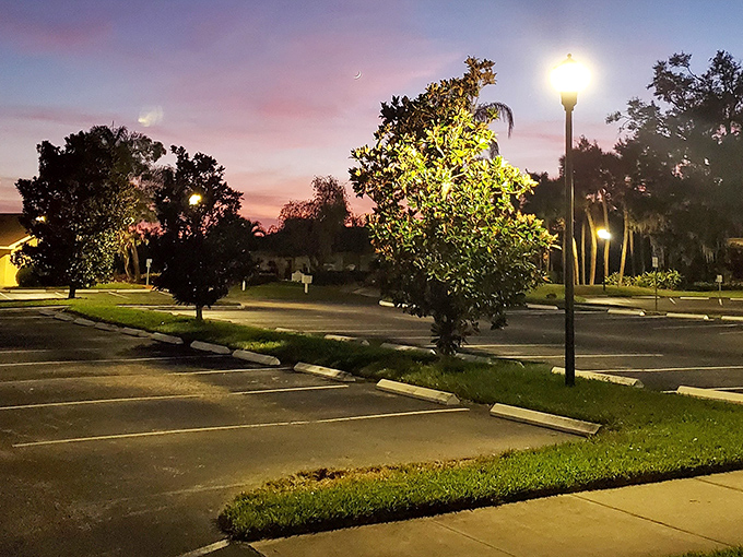 Even parking lots look magical at sunset in Florida &ndash; nature's light show happens daily, no admission required.