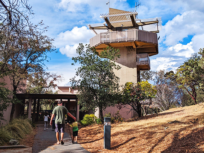 Lake Oroville Visitor Center's observation tower offers views that make smartphone cameras feel wholly inadequate. That father-son moment is what retirement savings are for.