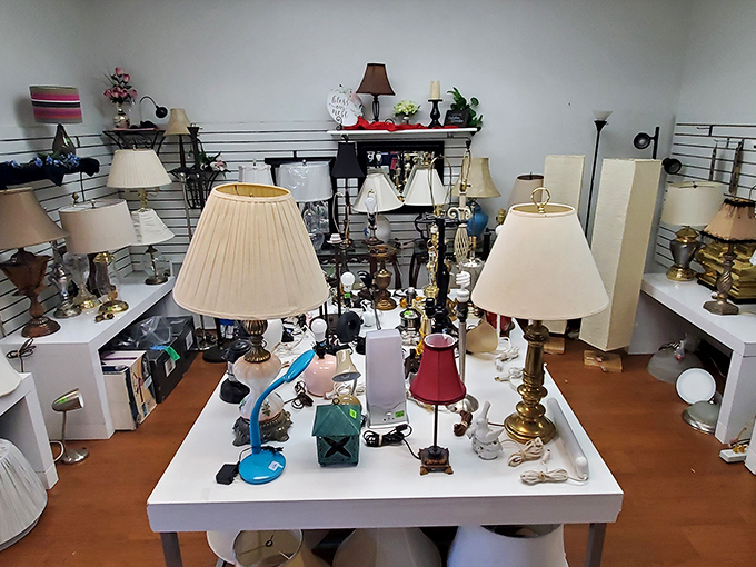 A lamp convention where every style from "grandma's formal parlor" to "1970s bachelor pad" is represented. That blue desk lamp is practically winking at you.