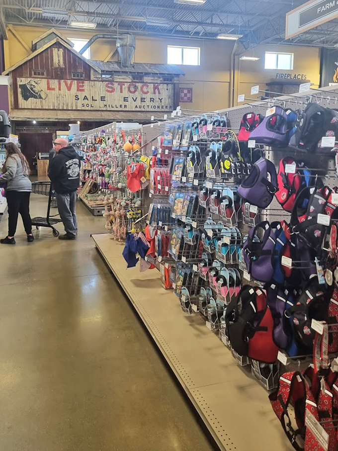 The "Live Stock Sale" sign looms above modern merchandise &ndash; a perfect metaphor for Hartville's blend of rural tradition and contemporary retail therapy.