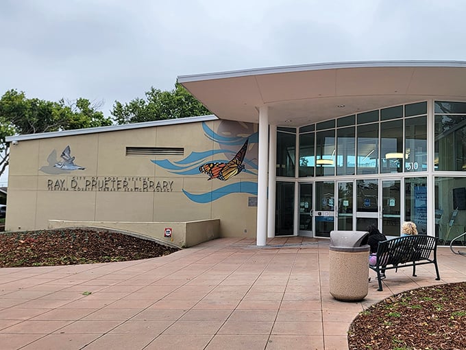 The library proves that not everything needs an app &ndash; sometimes books and quiet are enough.