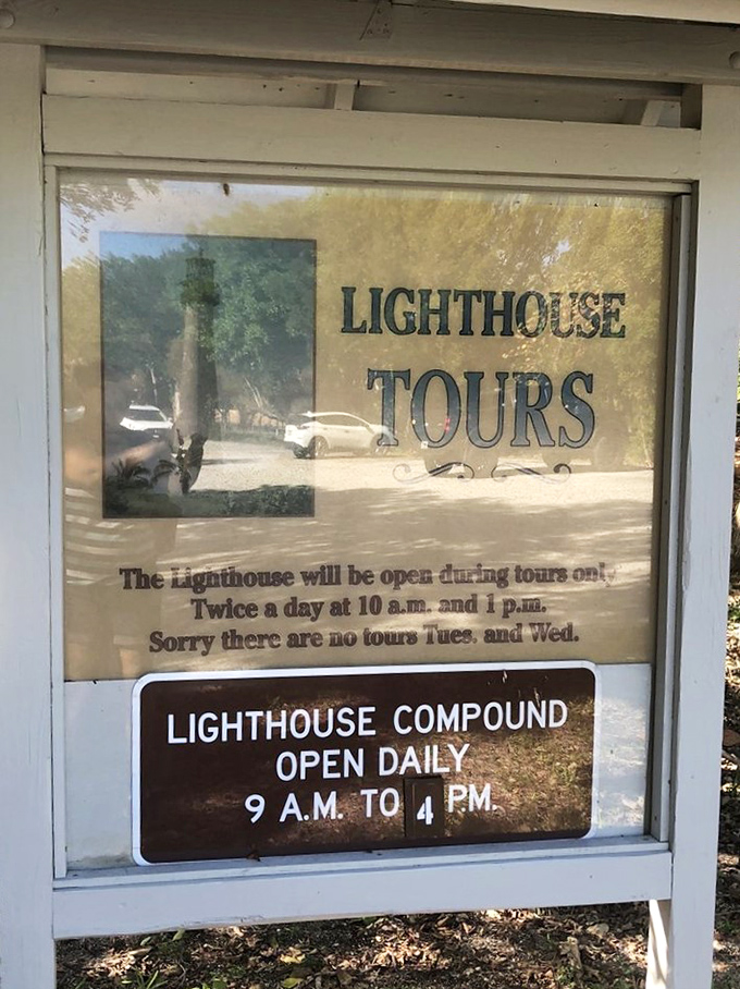 Tours run twice daily except Tuesdays and Wednesdays&mdash;because even lighthouses need a weekend, just not on actual weekends.