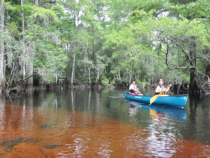 Paddlers explore the tea-colored waters of Little Pee Dee River. Nature's serenity awaits just minutes from downtown&mdash;no Instagram filter needed.