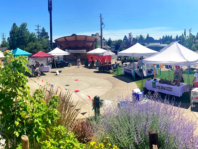 The Sisters Farmers Market: where "shopping local" means the tomato you're buying probably has a better view from its garden than your apartment does.