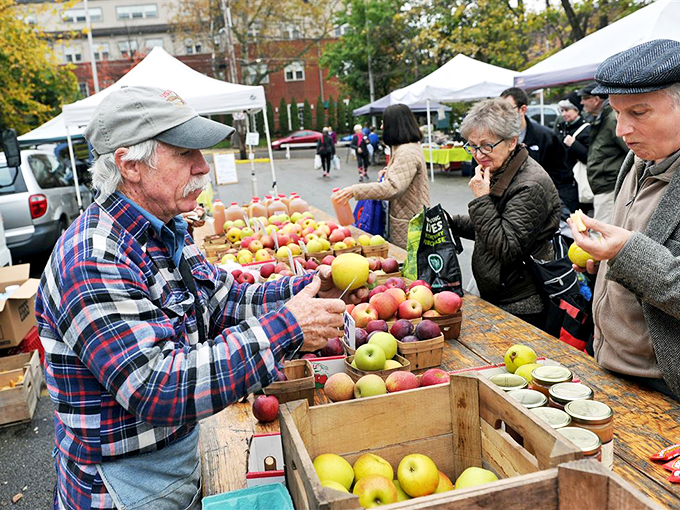 At the local farmers market, conversations about apple varieties flow as freely as memories of harvests past.