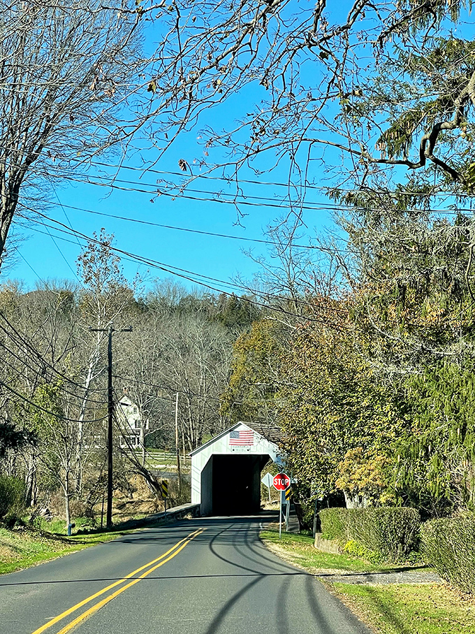 Against a brilliant blue autumn sky, the bridge stands as a reminder that sometimes the most memorable destinations aren't on any tourist map.