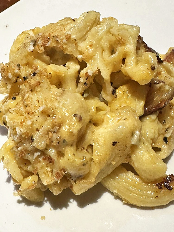 Mac & cheese that transcends childhood memories – grown-up comfort food that whispers, "Diet? What diet?" with every creamy, cheesy bite.