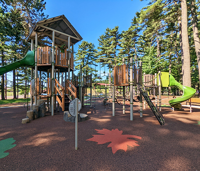 Playgrounds in Wausau aren't just for kids—they're reminders that your grandchildren have excellent reasons to visit you here.