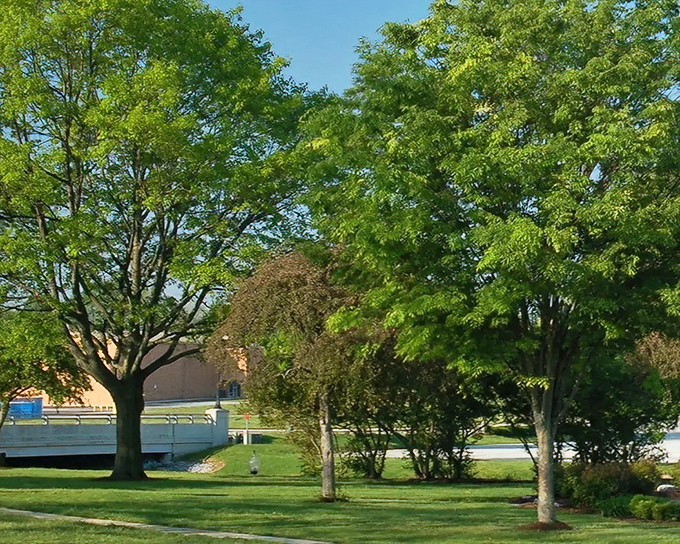 Lush greenery frames well-maintained public spaces, offering peaceful retreats where retirement doesn't mean sacrificing natural beauty for affordability.