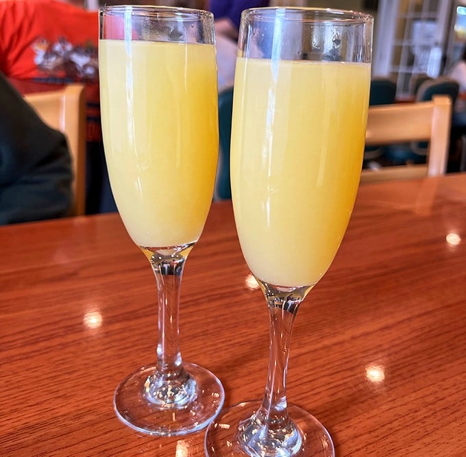 Mimosas in elegant flutes bring a touch of celebration to ordinary mornings. Sunshine in liquid form, served with a side of weekend possibility.