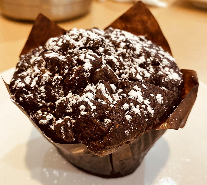 This chocolate muffin looks like it escaped from a bakery fairy tale, complete with powdered sugar.
