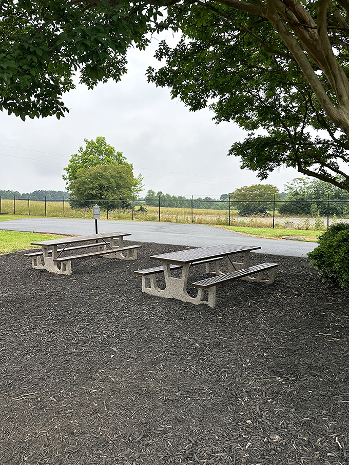 Millwood Park's picnic tables offer the perfect spot for a peach-themed lunch while contemplating the engineering marvel looming nearby.
