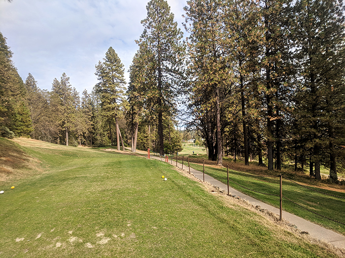 The Nevada County Country Club's fairways roll through the pines like green carpets, challenging golfers while soothing their souls.