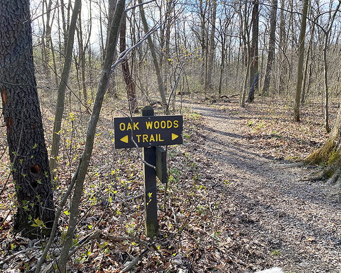The Oak Woods Trail sign points toward adventures among ancient trees. Follow it to discover what Pennsylvania looked like before we arrived with our smartphones.
