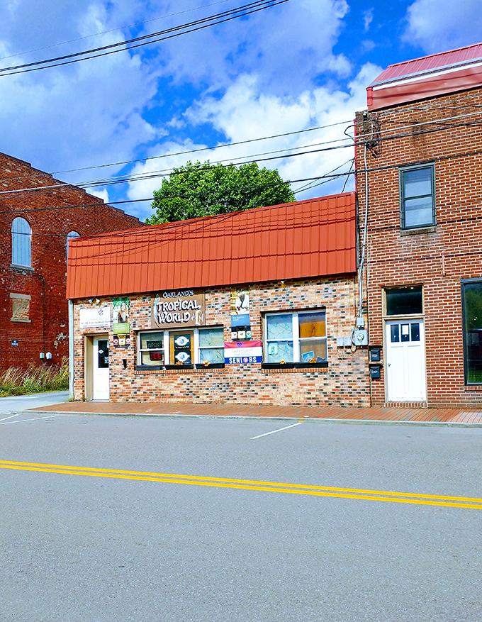 Oakland's Tropical World brings unexpected flair to mountain country, proving Maryland's quirkiness extends well beyond the Chesapeake.