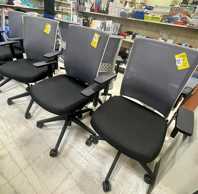 Office chairs lined up like hopeful job applicants, each one promising to support your work-from-home ambitions without breaking the bank.
