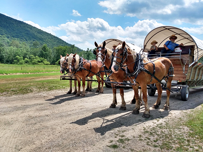 Horse-drawn wagon tours offer transportation at nature's pace, letting you experience the countryside the way your great-grandparents did.