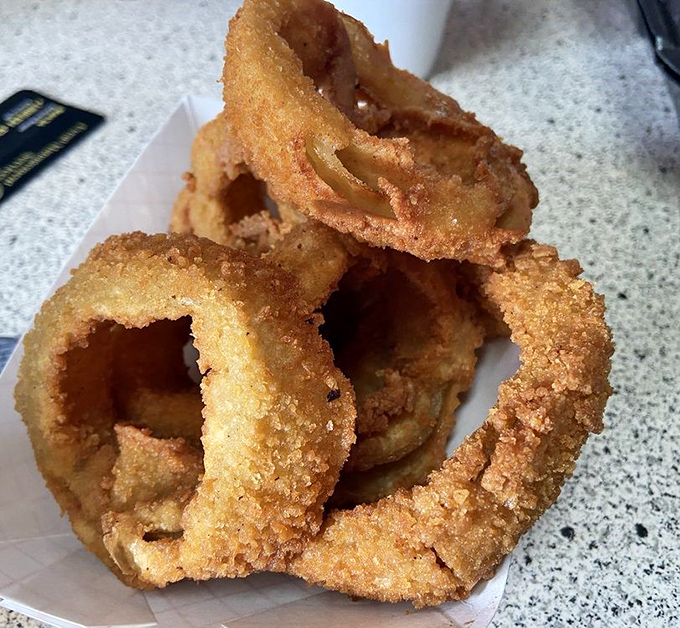 Onion rings with that perfect crunch – the kind that announces your bite to everyone within earshot. Worth every decibel.