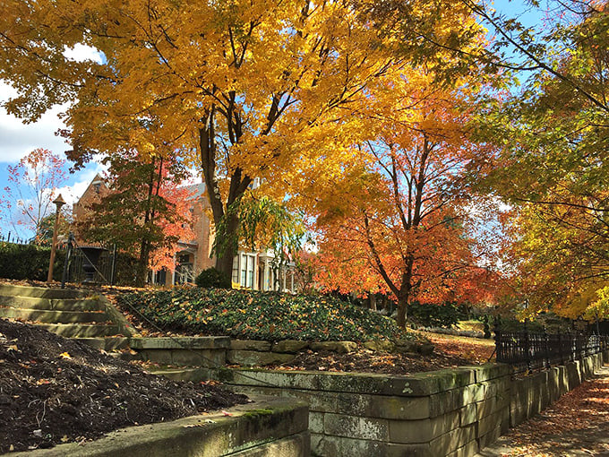 Fall foliage creates a spectacular backdrop for The Castle, proving that even historic buildings appreciate good seasonal lighting.