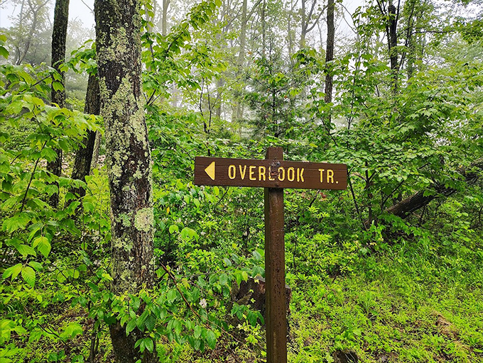 Trail markers: the original GPS system that never needs charging and works perfectly even when your phone shows "no service."