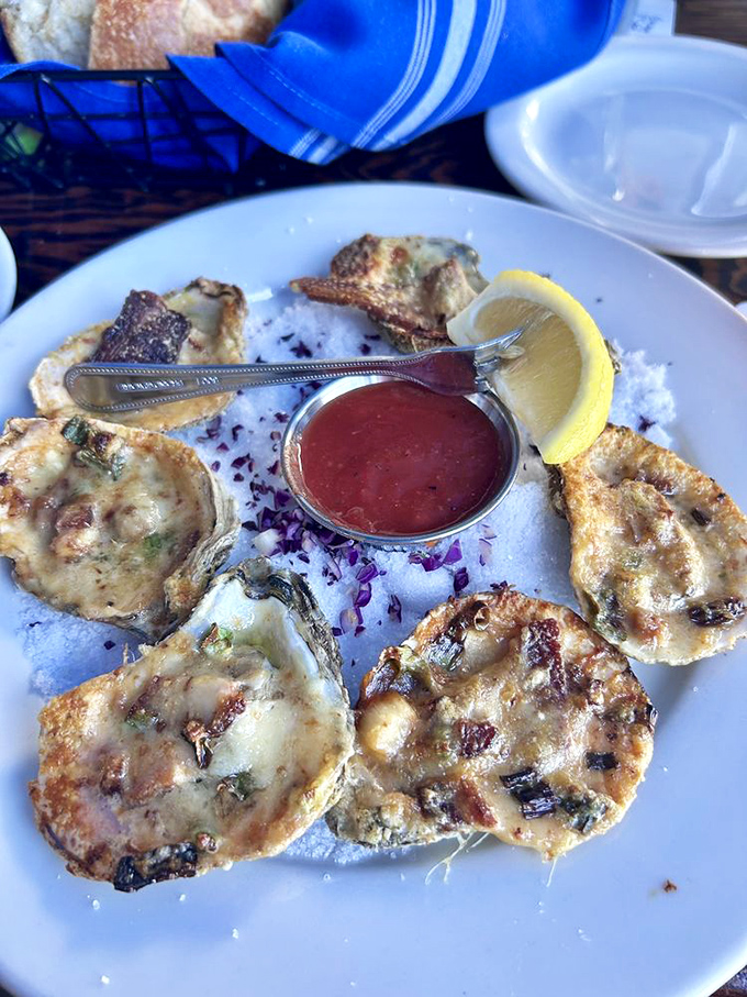 Oysters arranged like a delicious clock, telling you it's always time for something briny and wonderful. That sauce is the perfect dance partner.