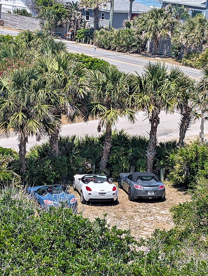 The humble parking area beneath palm trees serves as a reminder that even knights and ladies need somewhere to leave their steeds—or Subarus.