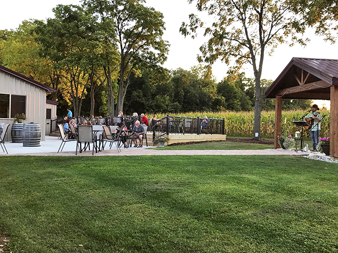 At Leisure Time Winery, dining al fresco means cornfield views and conversation, where farm-to-table isn't a trend—it's literally right there beside you.