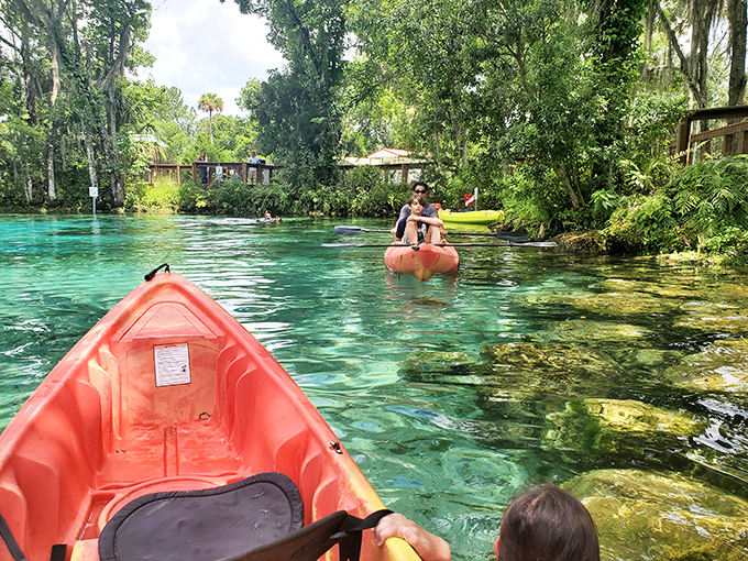 Kayaking through waters so clear you'll wonder if they're even there. The perfect way to explore Crystal River—just you, a paddle, and water that belongs on a postcard.