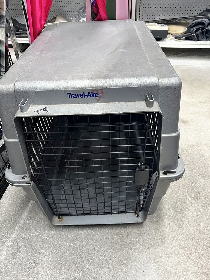 Even pets get the secondhand treatment! This Travel-Aire carrier awaits its next adventure with a four-legged passenger.