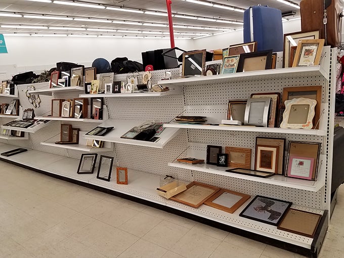 Picture frames seeking their perfect photographs, ready to showcase your most treasured family moments. 