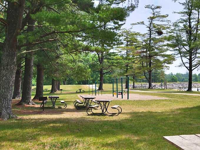 These picnic tables aren't just outdoor furniture—they're front-row seats to nature's greatest show, with lake views that beat any five-star restaurant.