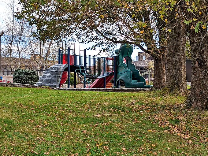 Childhood joy in primary colors: Salt Fork's playground promises adventures for the little ones while parents secretly wish they could still fit on the slides.