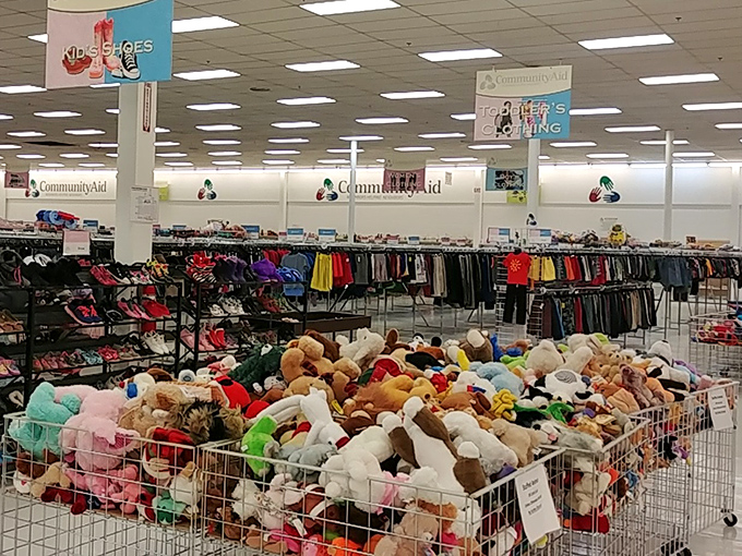 Stuffed animal adoption center where forgotten teddy bears and discarded dinosaurs await their second chance at being loved.