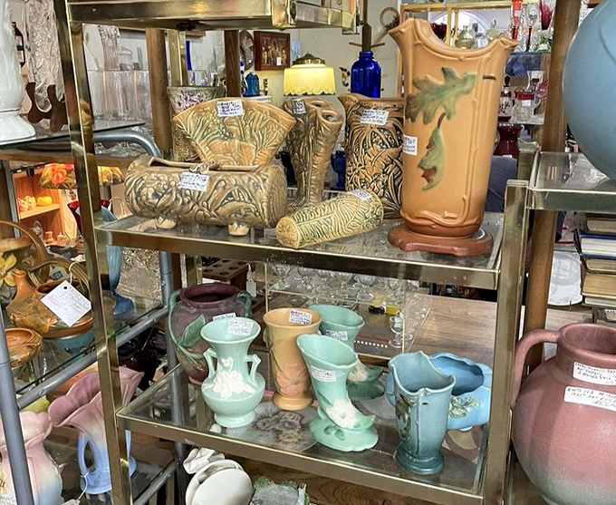 Pottery in earthy tones that would make any succulent feel right at home. That tall pitcher? Perfect for lemonade or holding the story of summers past.