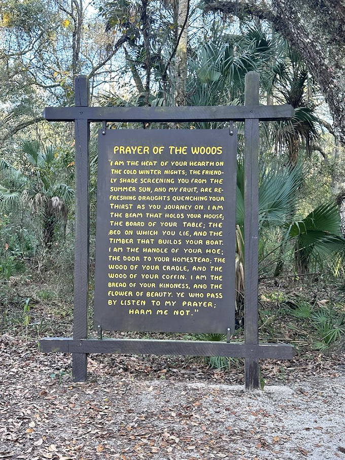 "Prayer of the Woods" &ndash; where trees remind us they're not just scenery but the original multi-tasking life support system.