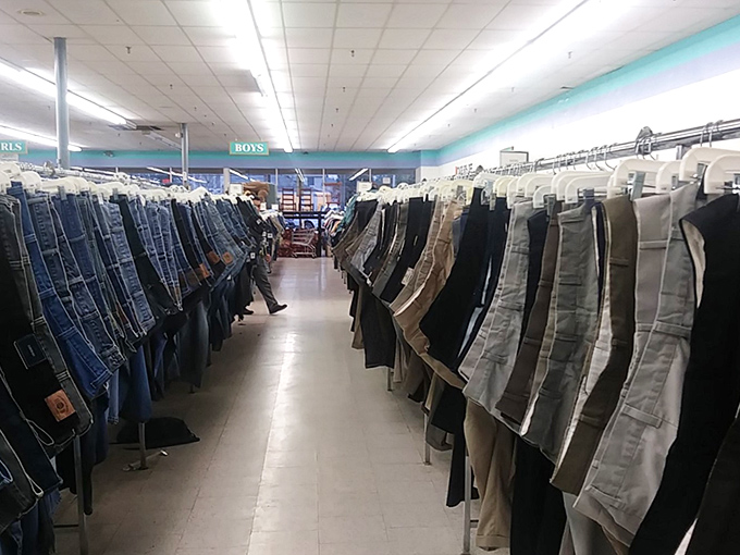 Aisles wider than most studio apartments, packed with treasures waiting for adoption.