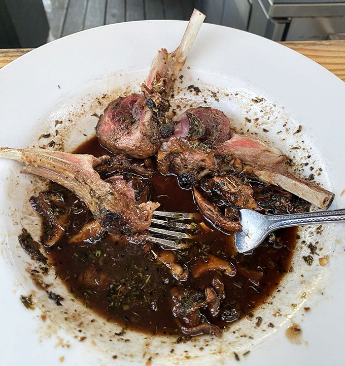 Rack of lamb looking like it stepped out of a French cookbook and decided to vacation in Appalachia.