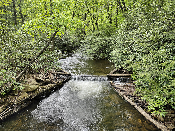 Nature's engineering at its finest &ndash; this gentle cascade creates the soundtrack you've been trying to find on your "sleep sounds" playlist.