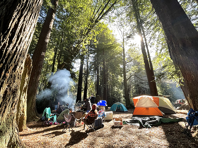 Camping here isn't roughing it &ndash; it's smoothing out life's complications beneath a cathedral of ancient redwoods.