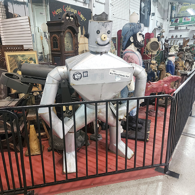 This metallic robot guardian stands sentinel over vintage oddities, like a sci-fi film prop that escaped Hollywood to retire in Florida.