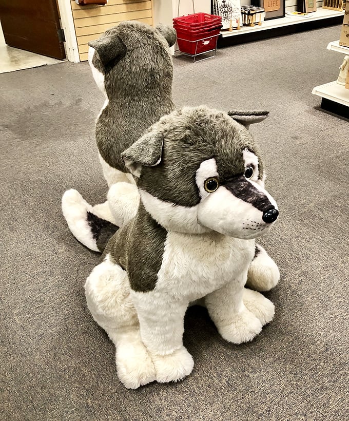 This plush husky isn't just adorable&mdash;he's silently judging your willpower as you contemplate whether you really "need" another stuffed animal.